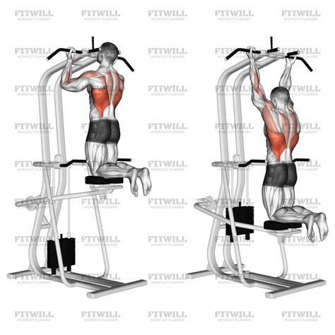 Lever Assisted Chin Up Exercise Guide Video Techniques Benefits