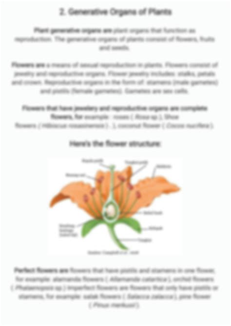 Solution Structure And Function Of Plants Ipa Class 8 Material Studypool