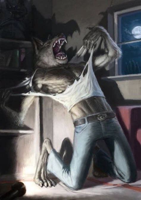 Lobo Meme Wolf Meme Memes Funny Wolf