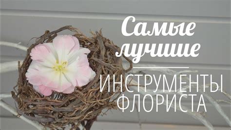 Флористика Самые лучшие инструменты флориста! - YouTube