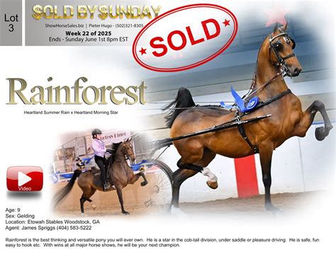 Sold By Sunday Shelbyville Ky