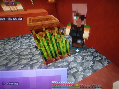 Man Do I Hate Villagers Any Tips On How To Get Him To Convert Yes I Have Taken All Of The