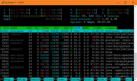 Linux What Does High Cpu Load In Htop For Processes With Status S