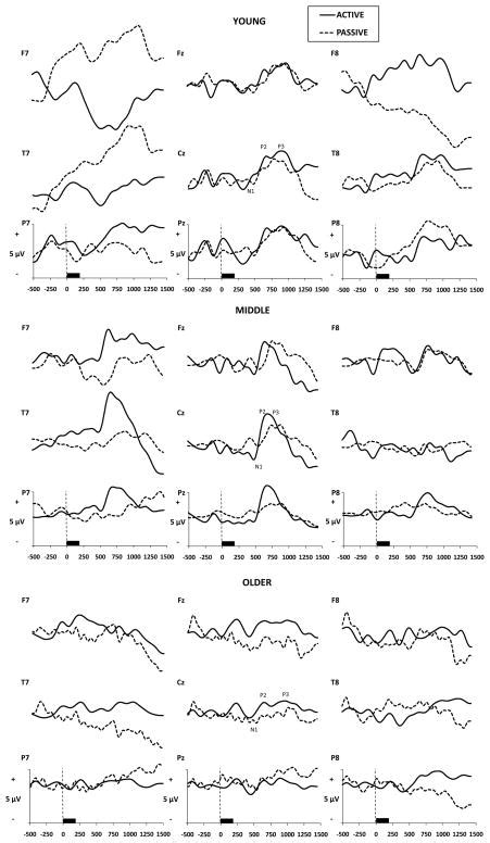 Differential Effects Of Active Attention And Age On Event Related Potentials To Visual And