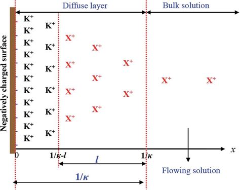 Schematic Diagram Of The Cationic Distribution In The Diffuse Layer Download Scientific Diagram