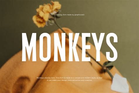 Monkeys Modern Sans Serif Font