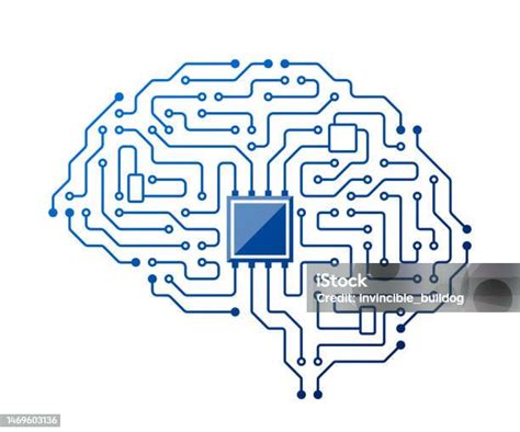 마이크로 칩이 있는 뇌 소뇌 전기 회로 구조 뉴런과 연결의 복잡한 네트워크 경로 오솔길에 대한 스톡 벡터 아트 및 기타 이미지 오솔길 학습 데이터 Istock