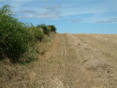 Carbon Storage Potential Agricology