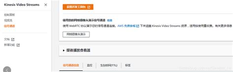 aws kvs kinesis video streams 之webrtc的c库测试 kvs with webrtc csdn博客