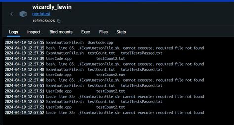 Docker Not Executing File Aspnet Website C
