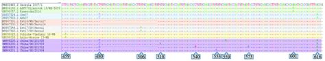 Nucleotide Sequence Alignment Of The Partial Cvr Gene The Six
