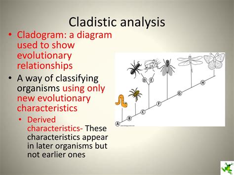 Ppt Classification Of Living Things Powerpoint Presentation Free