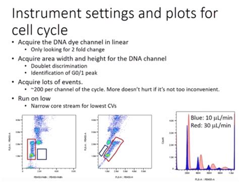 6 Areas Of Consideration For Flow Cytometry Cell Cycle Analysis