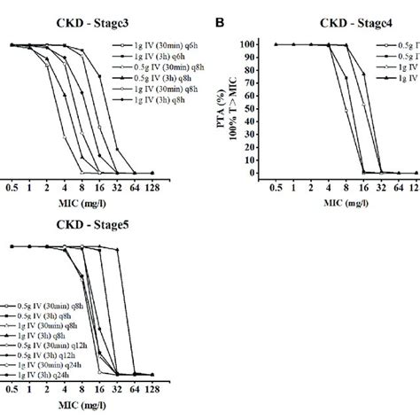 Simulated Plasma Concentration Time Profiles For Meropenem At Different Download Scientific