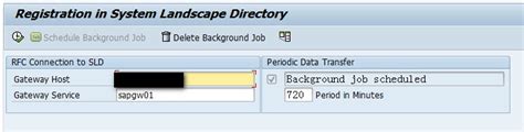 Solved Pi74 Slduc Failed To Connect，rz70 Failed Proble Sap