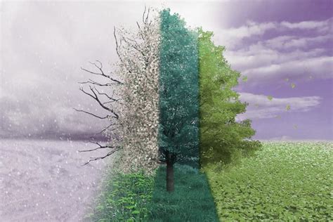 都说山西气候四季分明，那究竟怎么“分“，如何”明“ 知乎