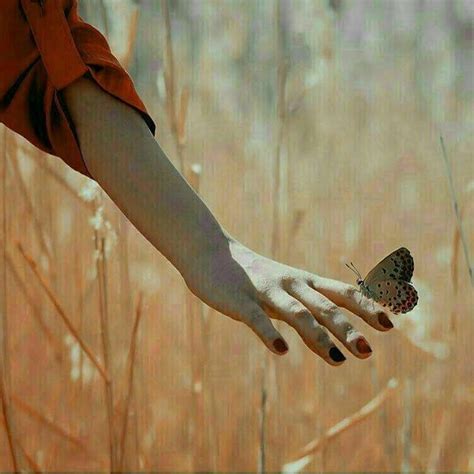 شیدا شیدایی