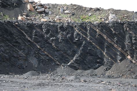 МОЭНКО ХХК иргэд байгууллагад 9313 тонн бүхэл нүүрс нийлүүлжээ