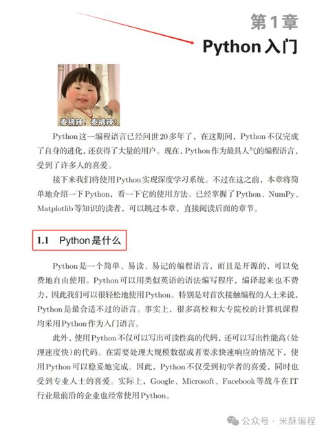 《深度学习入门：基于python的理论与实现》高清中文版pdf源代码深度学习入门基于python的理论与实现odf Csdn博客