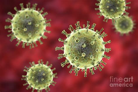 Chicken Pox Virus Under Microscope Clade 9 New Strain Of Chicken Pox