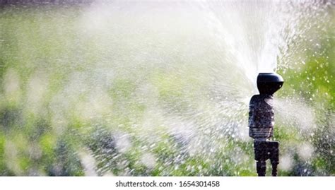 Irrigation System Function Watering Agricultural Plants Photos And Images Pictures Shutterstock