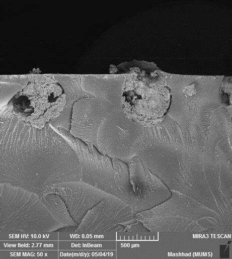 Sem Micrographs Of The Fracture Surfaces Of The Compositesadebonding