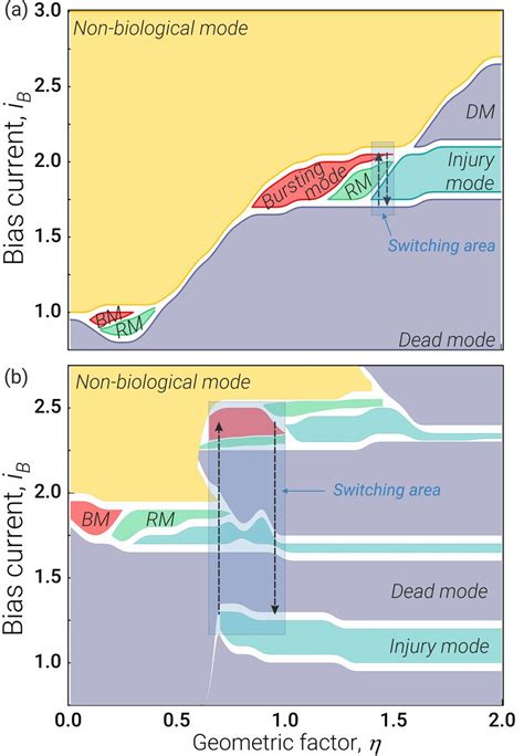 Parameter Ranges For The Operating Modes Of The Neurons For The Bias