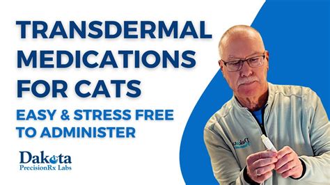 Compounded Transdermal Cream For Cats How To Use And Benefits Youtube