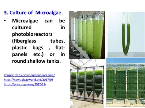 Algal Culture Scope And Methods Smg Pptx