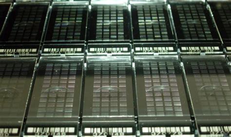 Dna Microarray Test