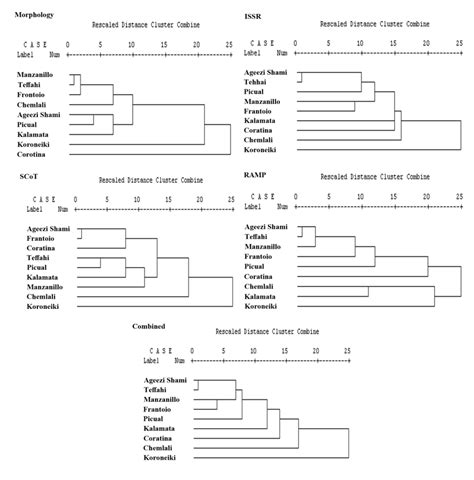 Upgma Dendrogram Derived From Genetic Similarity Between Nine Olive