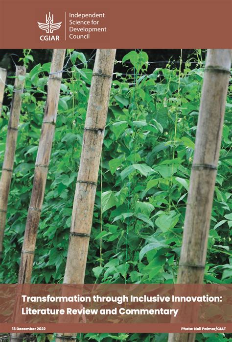 Transformation Through Inclusive Innovation Literature Review And Commentary Iaes Cgiar