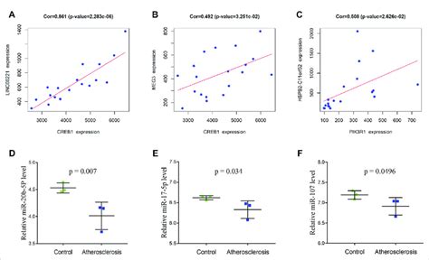Correlation Between The Expression Of Immune Related Core Demrnas And