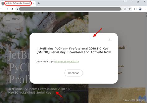 谷歌动态搜索广告被滥用引发恶意软件泛滥 Csdn博客