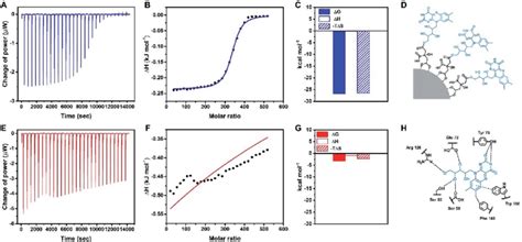 raw itc data a and e integrated heat plots b f and thermodynamic