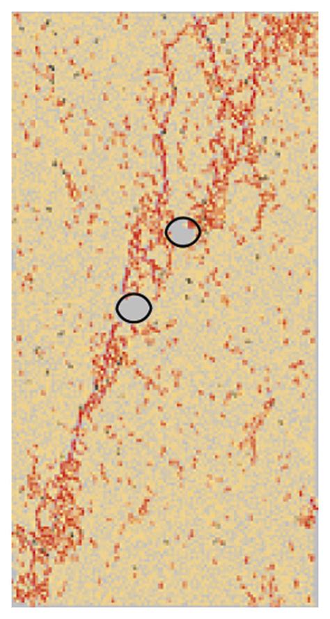 Macrofracture Morphology Of Coal Sample With Different Hole Angle A Download Scientific
