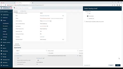 commvault v11 to run a manual file system backup youtube