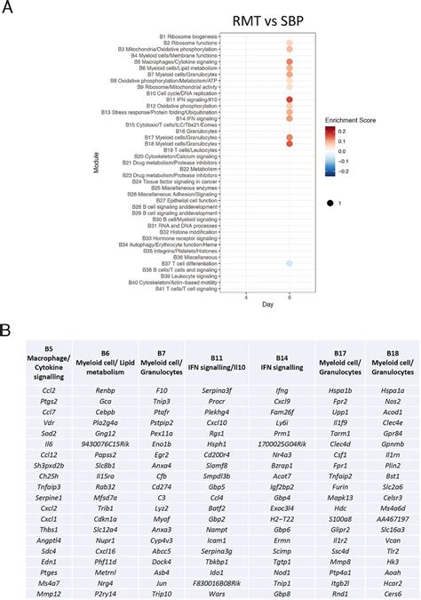Modular Analysis Reveals A Role For Myeloid Cells And Ifnγ A Modular Download Scientific