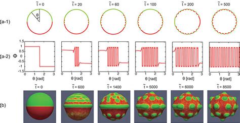 Colour Online Transition Dynamics From Macro To Micro Phase