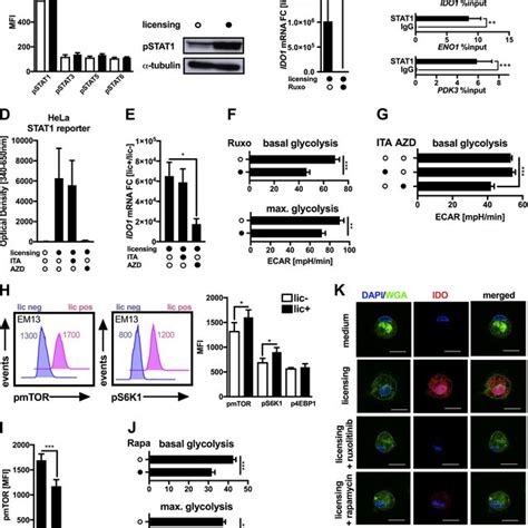 Inflammatory Signals Trigger The Jak2 Stat1 Pathway Activation Of Download Scientific Diagram