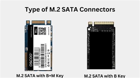 M 2 Vs Msata Ssd Form Factors How Are They Different Oscoo