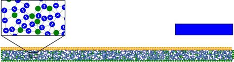Numerical Visualization Of The Model And Visualization Of Initial