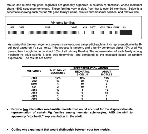 Solved Mouse And Human Vh Gene Segments Are Generally