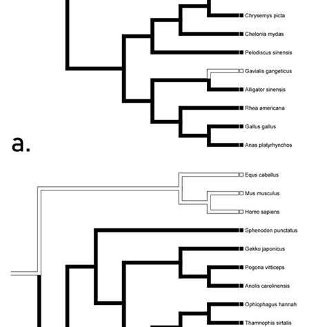 Character Optimization Of Tlr 21 Using Accelerated Transformations A Download Scientific