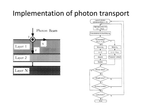 ppt monte carlo simulation of photon migration powerpoint