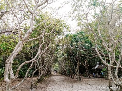 Nogas Island (1) - Jon to the World Blog