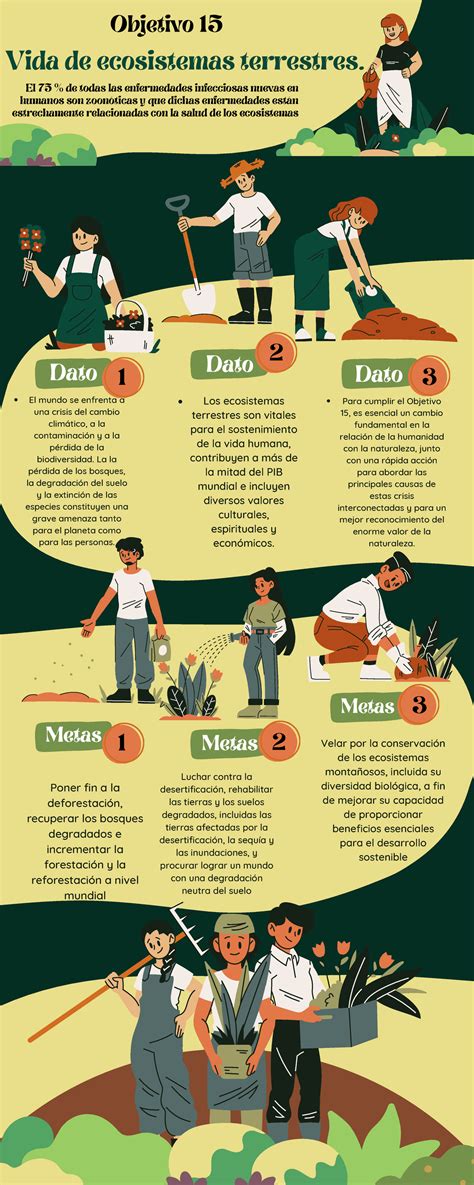 Objetivo 15 Vida De Ecosistemas Terrestres Vida De Ecosistemas