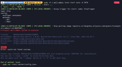 使用 s local start auto d 调试 custom container遇到 could not found runtime 错误 Issue