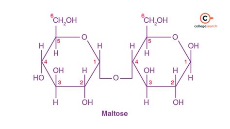 Maltose Structure Formula Properties Production And Uses Of