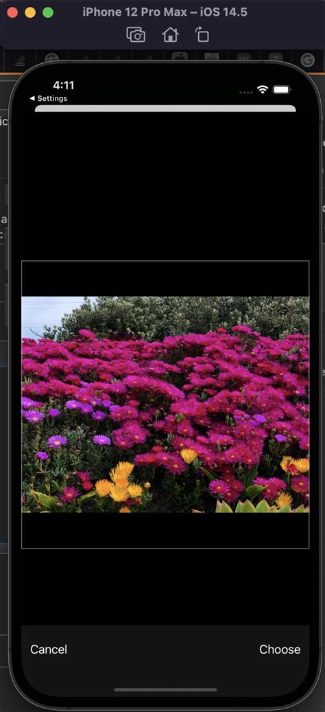 Ios Unable To Tap On Choose Or Cancel Image Selection In